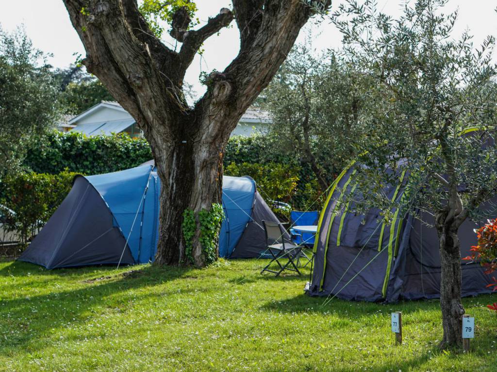 Gallery - Europa Silvella